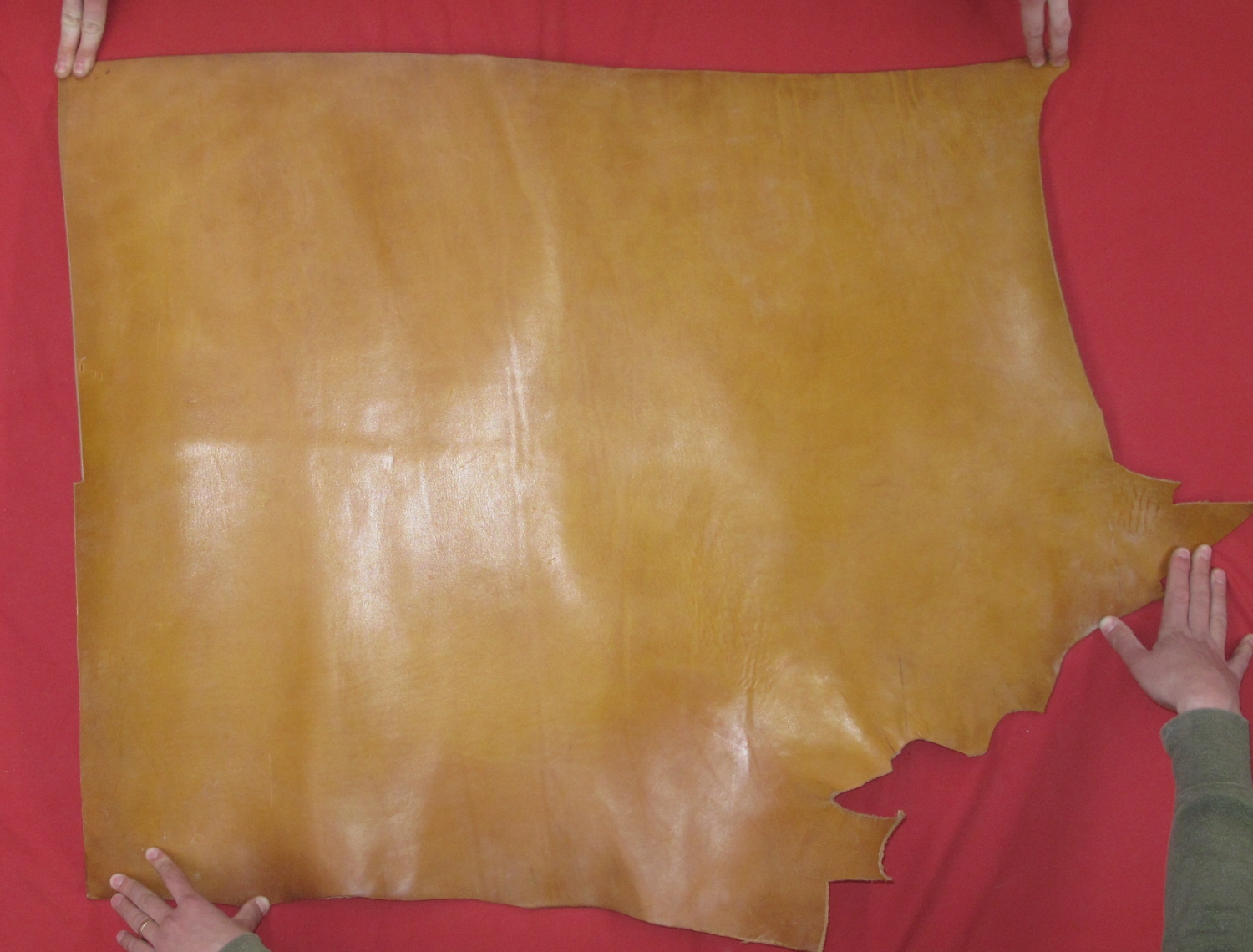 Buckskin and Leather : BEEF - HALVES - MISCELLANEOUS (0415-9998 ...