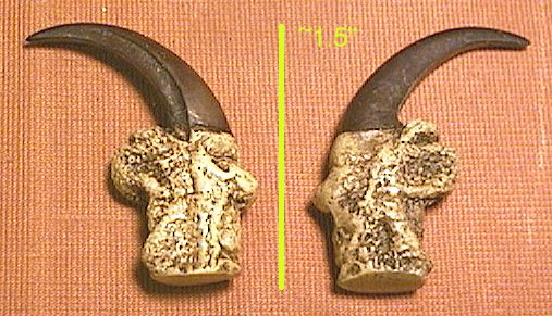 Claws : SIMULATED EAGLE (2795-0105) : hideandfur.com