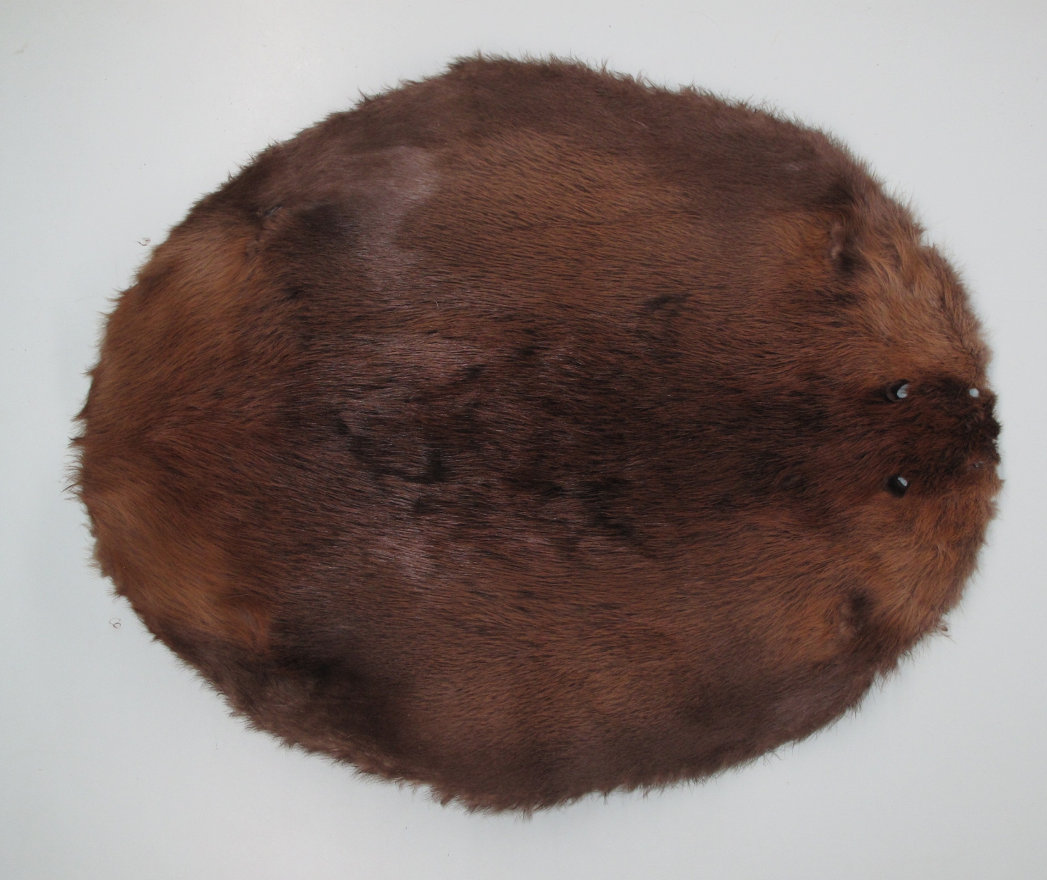Raw Fur : BEAVER (3300-0233) : hideandfur.com