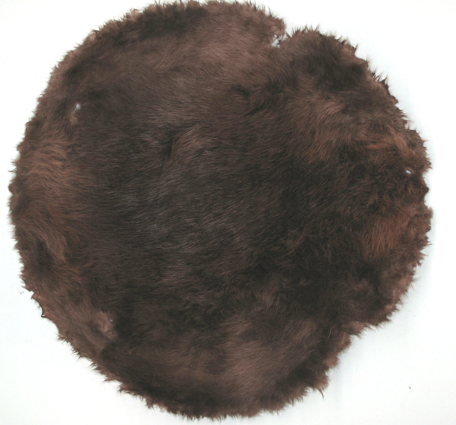 Raw Fur : BEAVER (3300-0243) : hideandfur.com