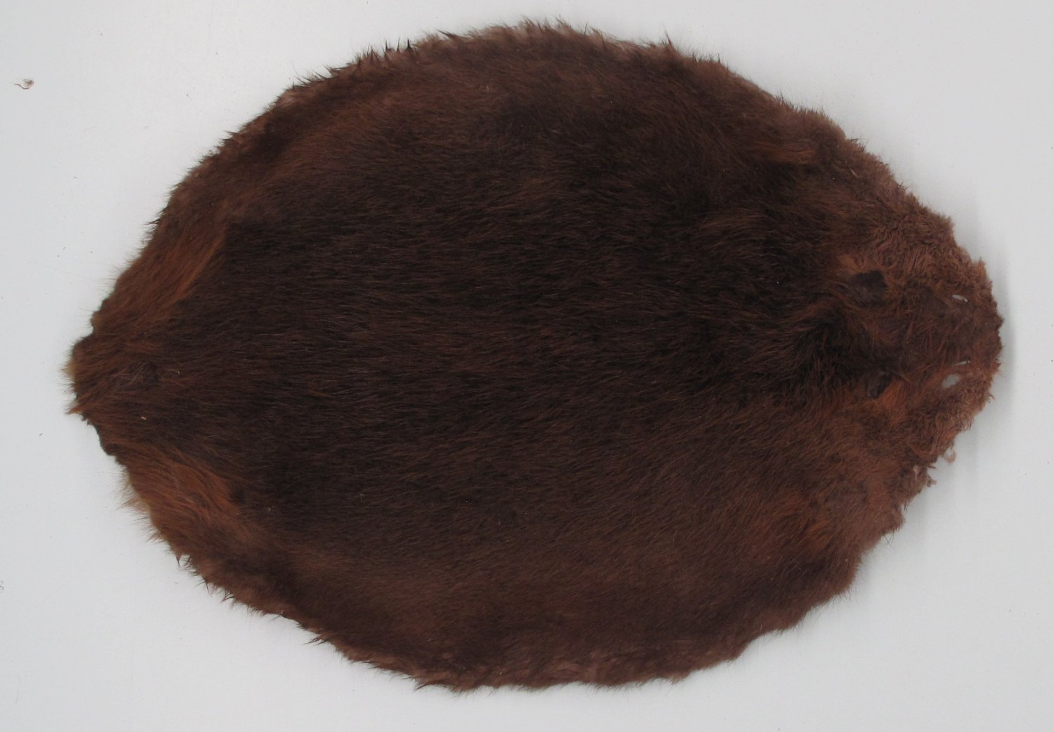 Raw Fur : BEAVER (3300-0299) : hideandfur.com