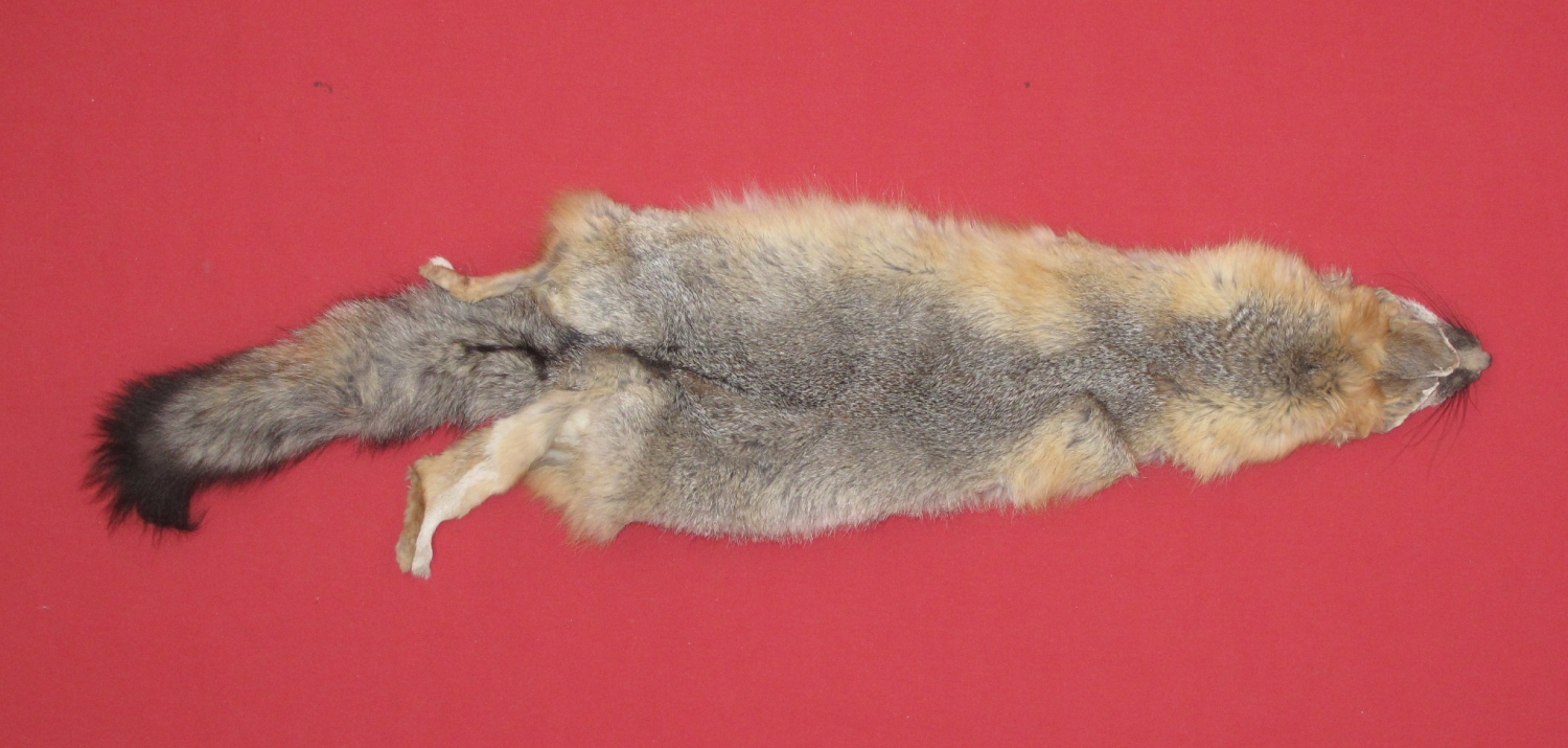 Raw Fur : KIT FOX (3525-0110) : hideandfur.com