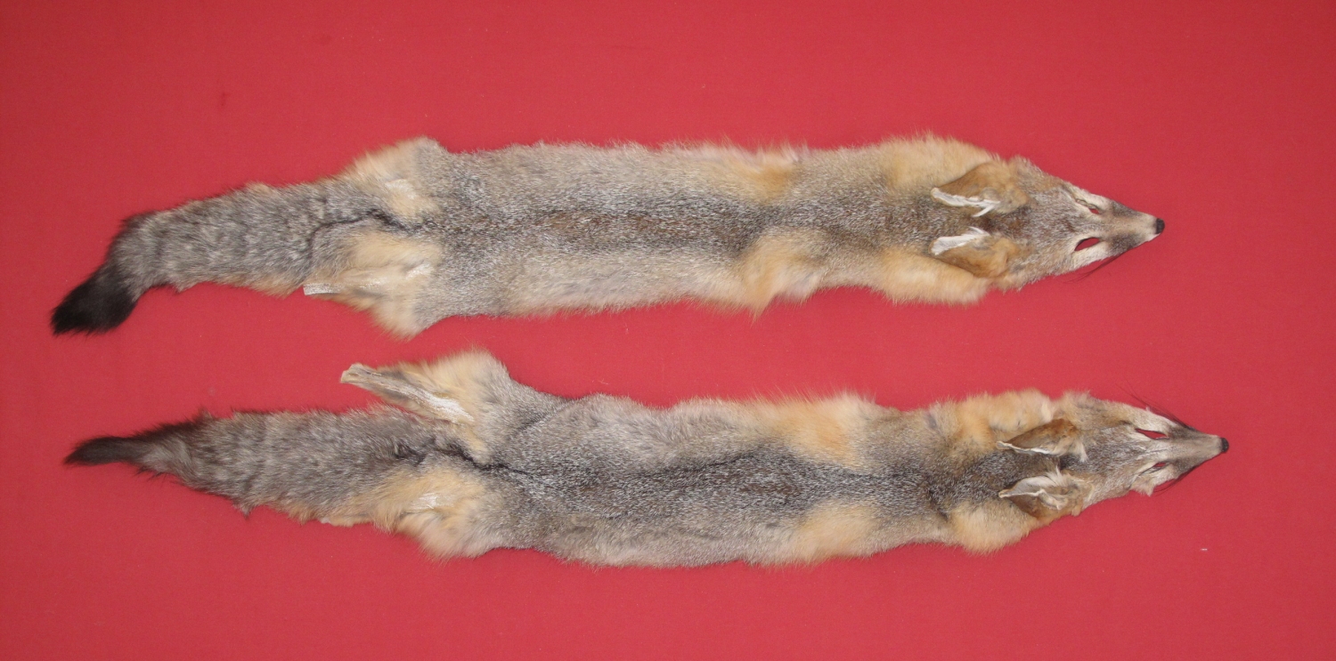 Raw Fur : KIT FOX (3525-0119) : hideandfur.com