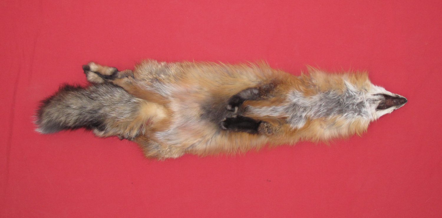 Raw Fur : RED FOX (3555-0186) : hideandfur.com