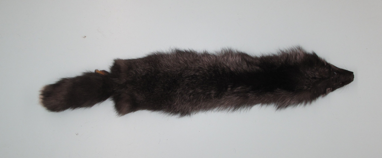 Raw Fur : SILVER FOX (3575-0082) : hideandfur.com
