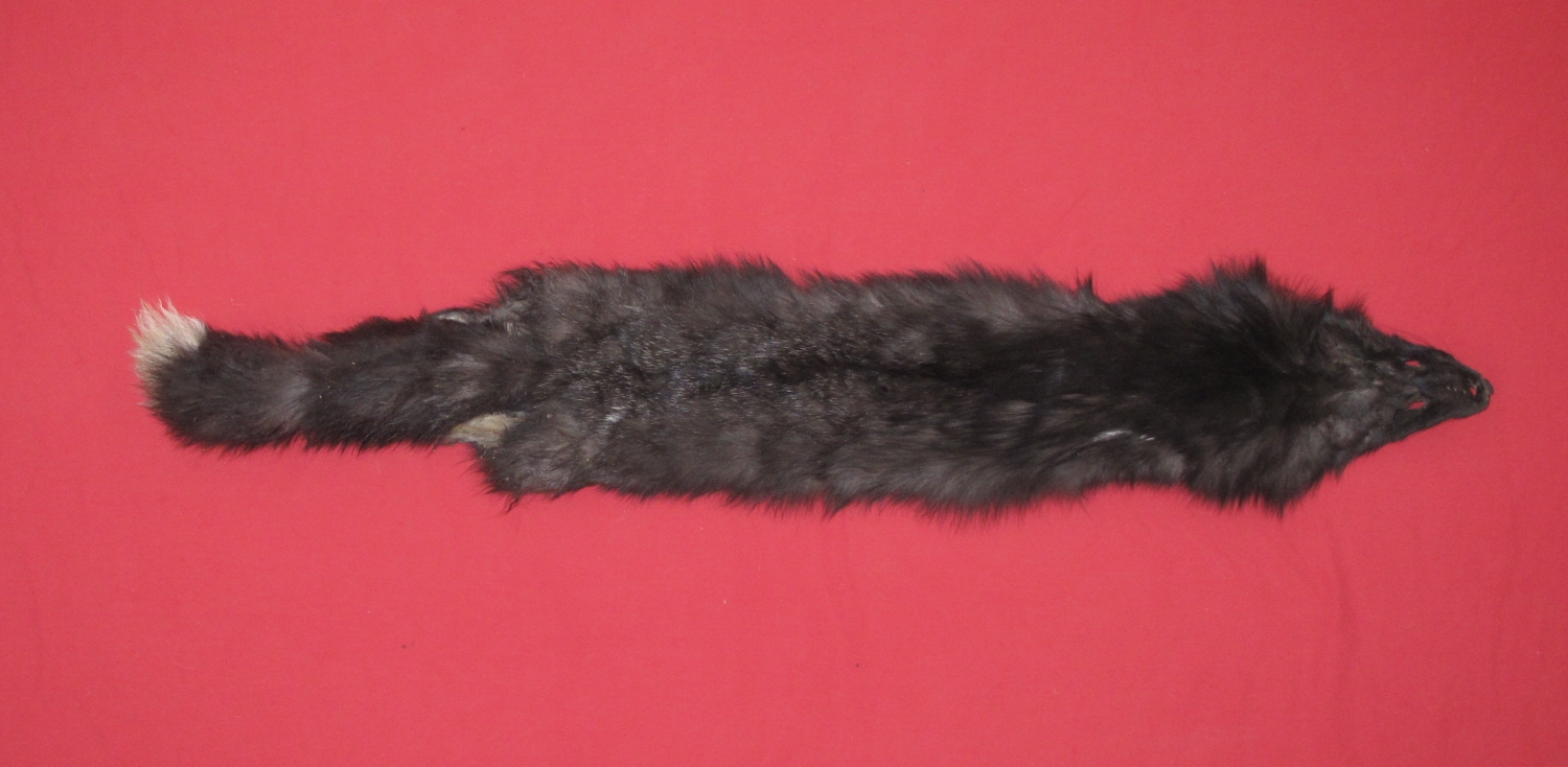 Raw Fur : SILVER FOX (3575-0086) : hideandfur.com