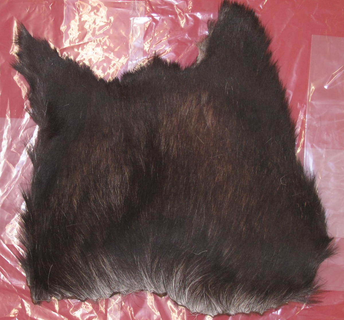 Raw Fur : MOOSE (3685-0609) : hideandfur.com