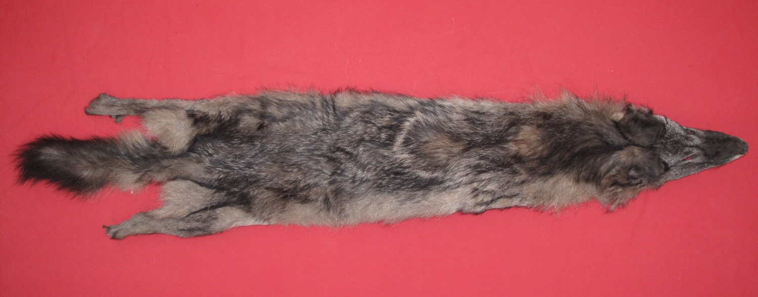 Raw Fur : WOLF (3880-0251) : hideandfur.com