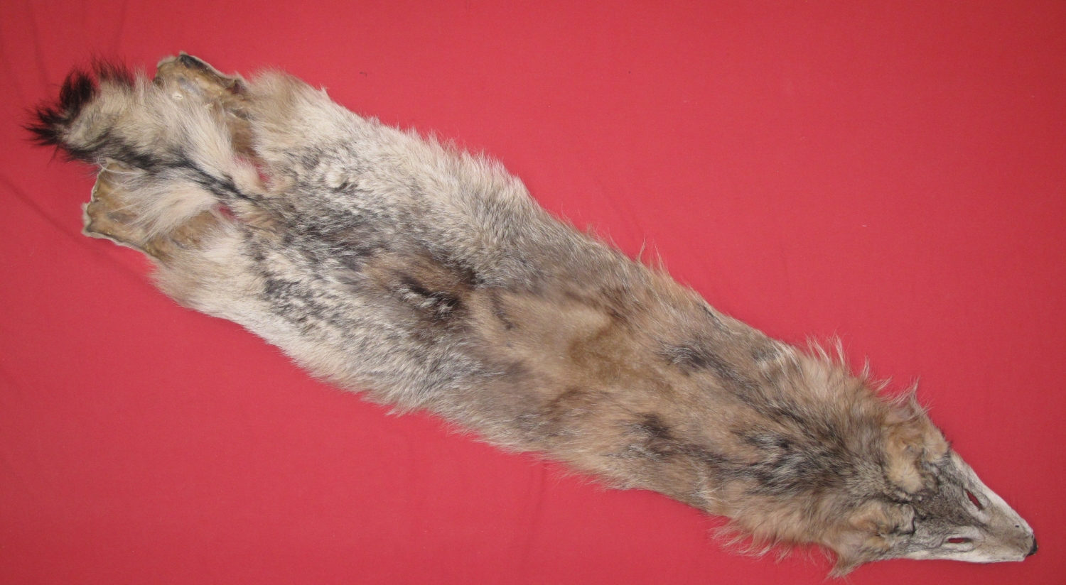 Raw Fur : WOLF (3880-0269) : hideandfur.com