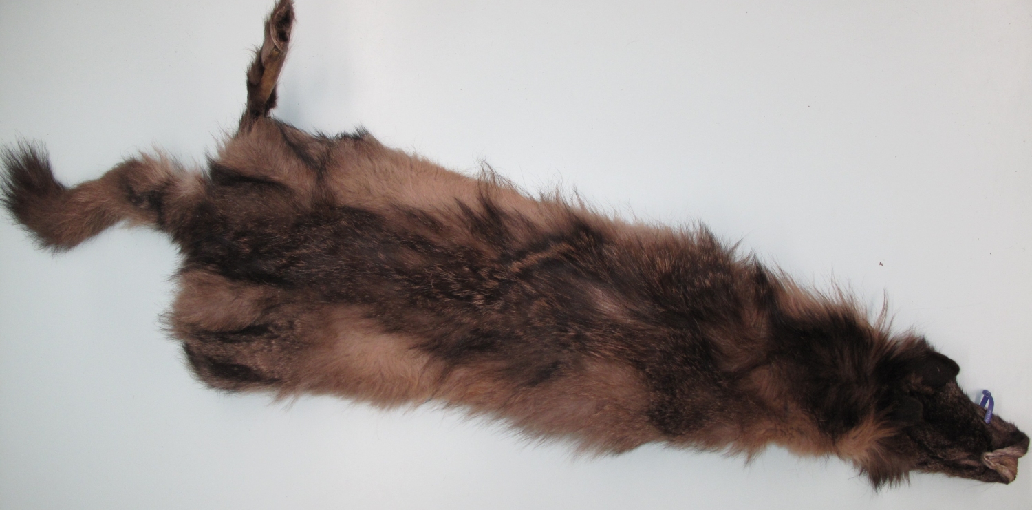 Raw Fur : WOLF (3880-0271) : hideandfur.com