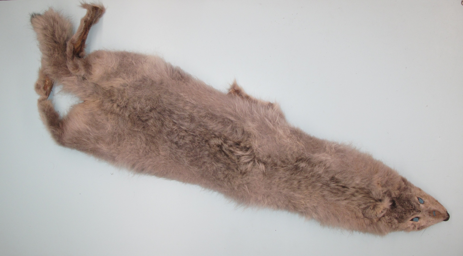 Raw Fur : WOLF (3880-0274) : hideandfur.com