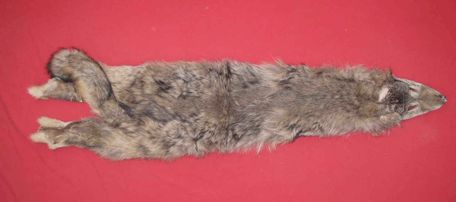 Raw Fur : WOLF (3880-0276) : hideandfur.com