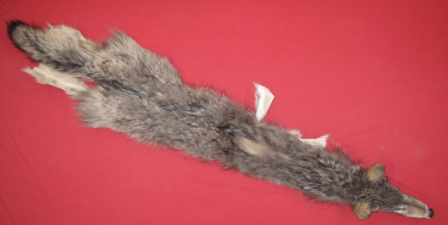 Raw Fur : WOLF (3880-0277) : hideandfur.com