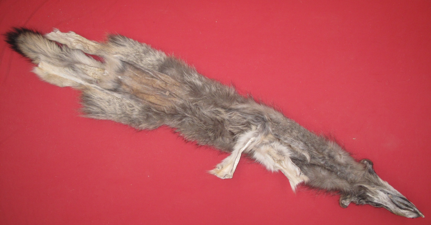 Raw Fur : WOLF (3880-0277) : hideandfur.com