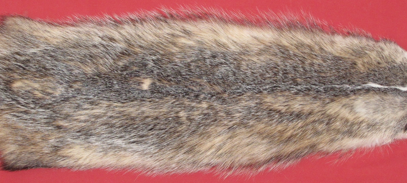 Tanned Furs : BADGER (6085-1480) : hideandfur.com