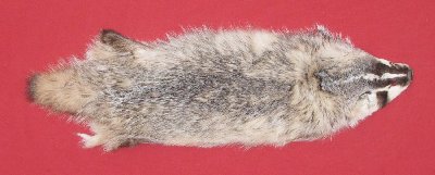 Tanned Badger Hides, Furs, Pelts, Skins for sale by www.hideandfur.com
