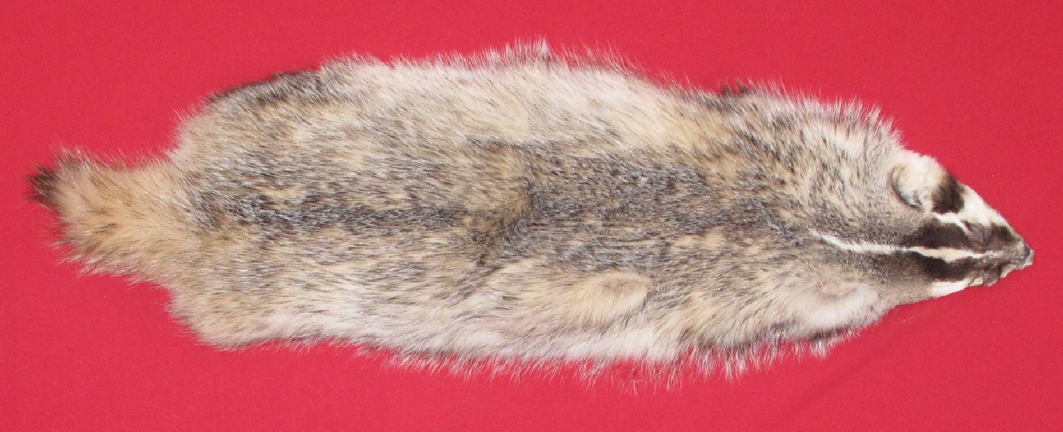 Tanned Furs : BADGER (6085-1559) : hideandfur.com