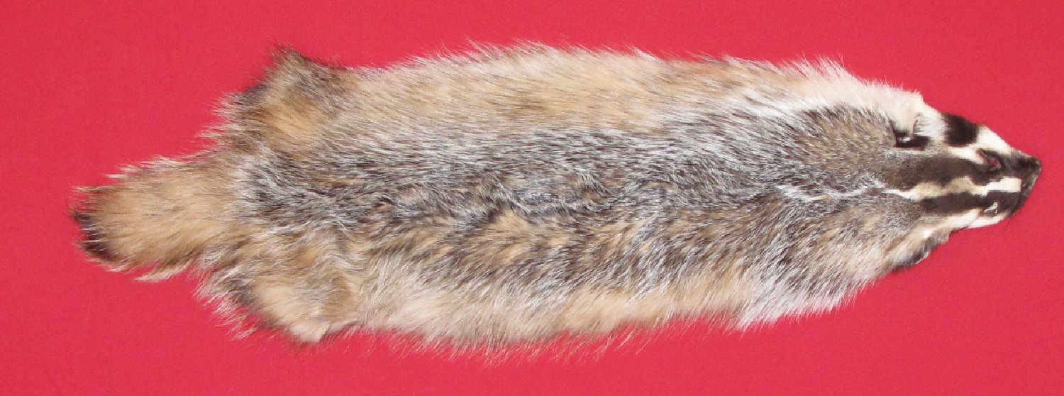 Tanned Furs : BADGER (6085-1562) : hideandfur.com