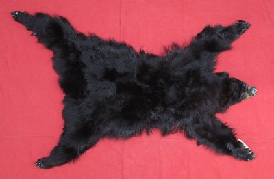 Tanned Complete Black Bear Hides, Furs, Pelts, Skins for sale by www ...