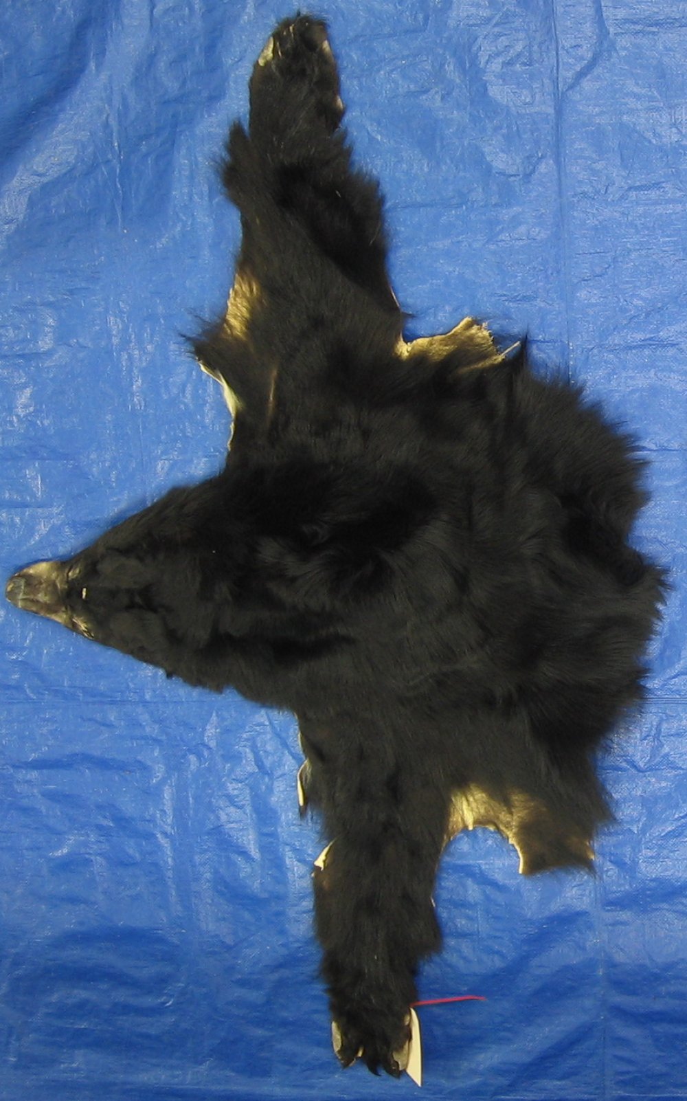 Tanned Furs : BLACK BEAR - CAPES (6109-0295) : hideandfur.com