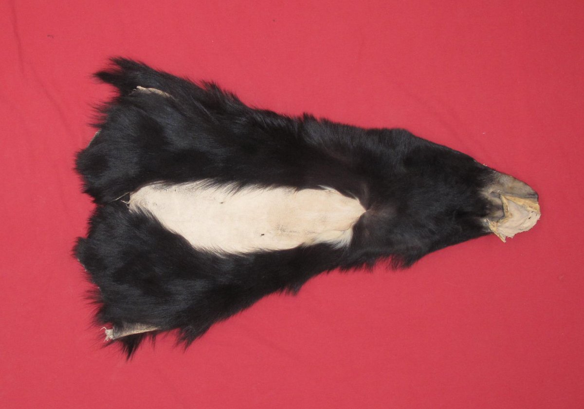 Tanned Furs : BLACK BEAR - CAPES (6109-0308) : hideandfur.com