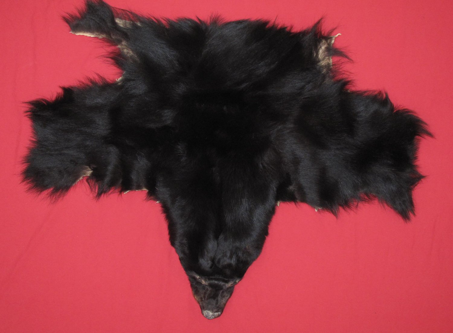 Tanned Furs : BLACK BEAR - CAPES (6109-0313) : hideandfur.com