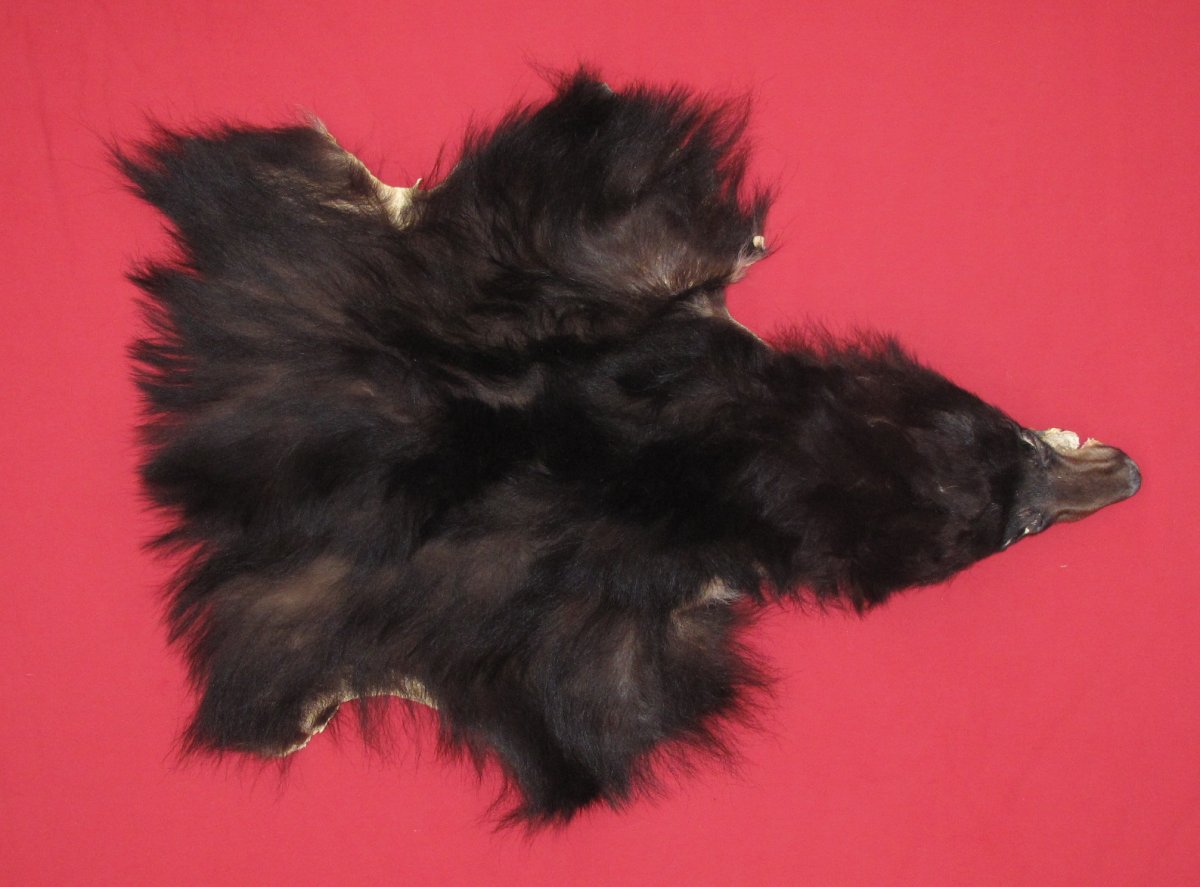 Tanned Furs : BLACK BEAR - CAPES (6109-0316) : hideandfur.com