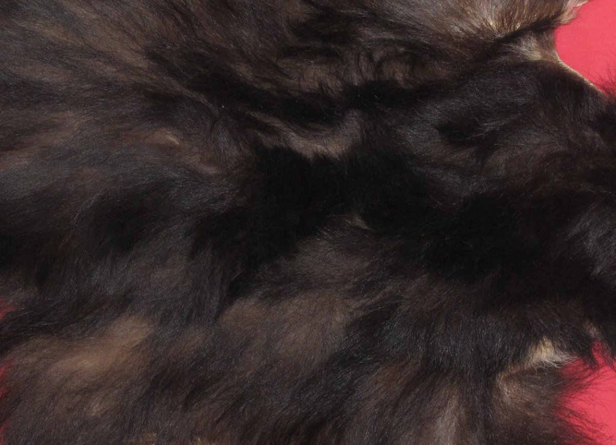 Tanned Furs : BLACK BEAR - CAPES (6109-0316) : hideandfur.com