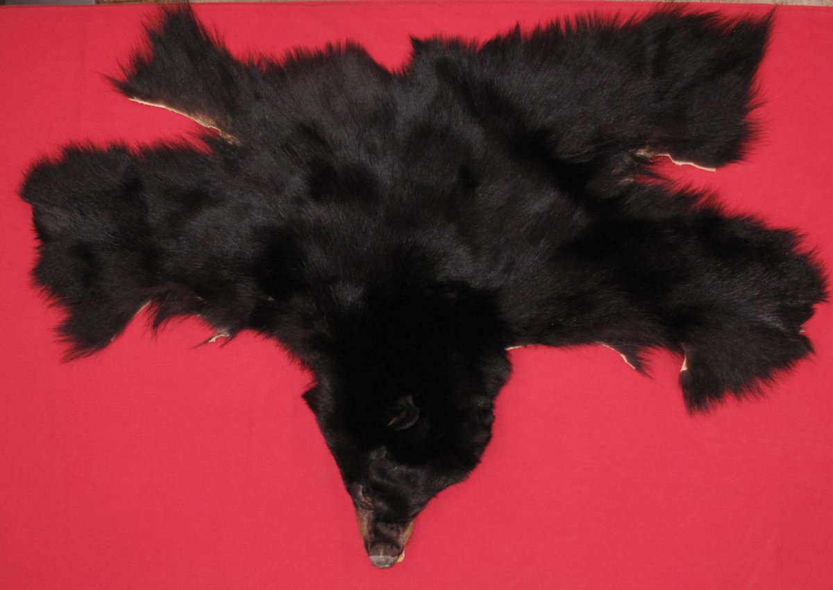 Tanned Furs : BLACK BEAR - CAPES (6109-0330) : hideandfur.com