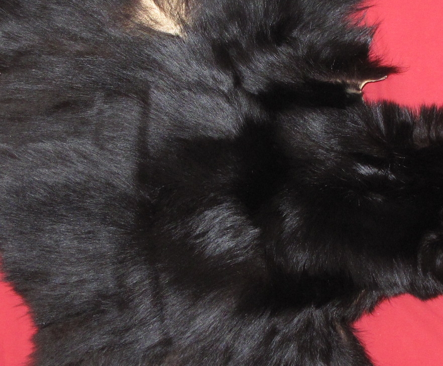 Tanned Furs : BLACK BEAR - CAPES (6109-0338) : hideandfur.com