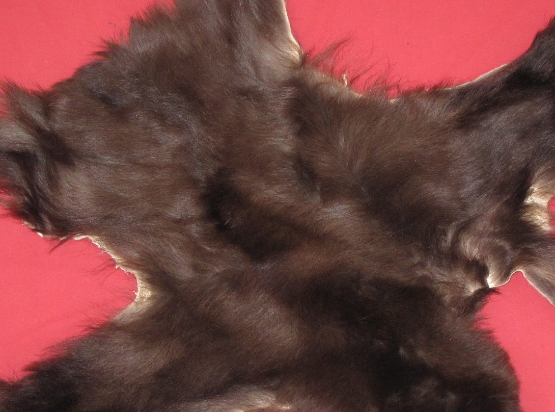 Tanned Furs : BLACK BEAR - CAPES (6109-0348) : hideandfur.com