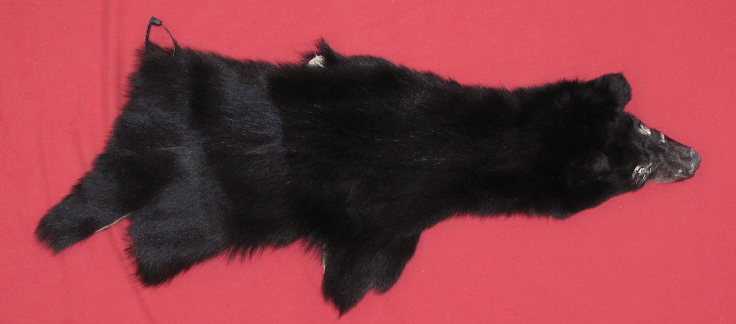 Tanned Furs : BLACK BEAR - CAPES (6109-0354) : hideandfur.com