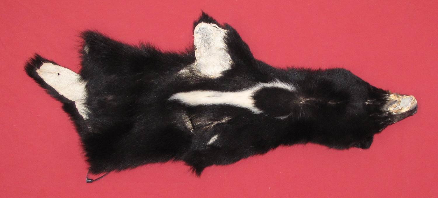 Tanned Furs : BLACK BEAR - CAPES (6109-0354) : hideandfur.com