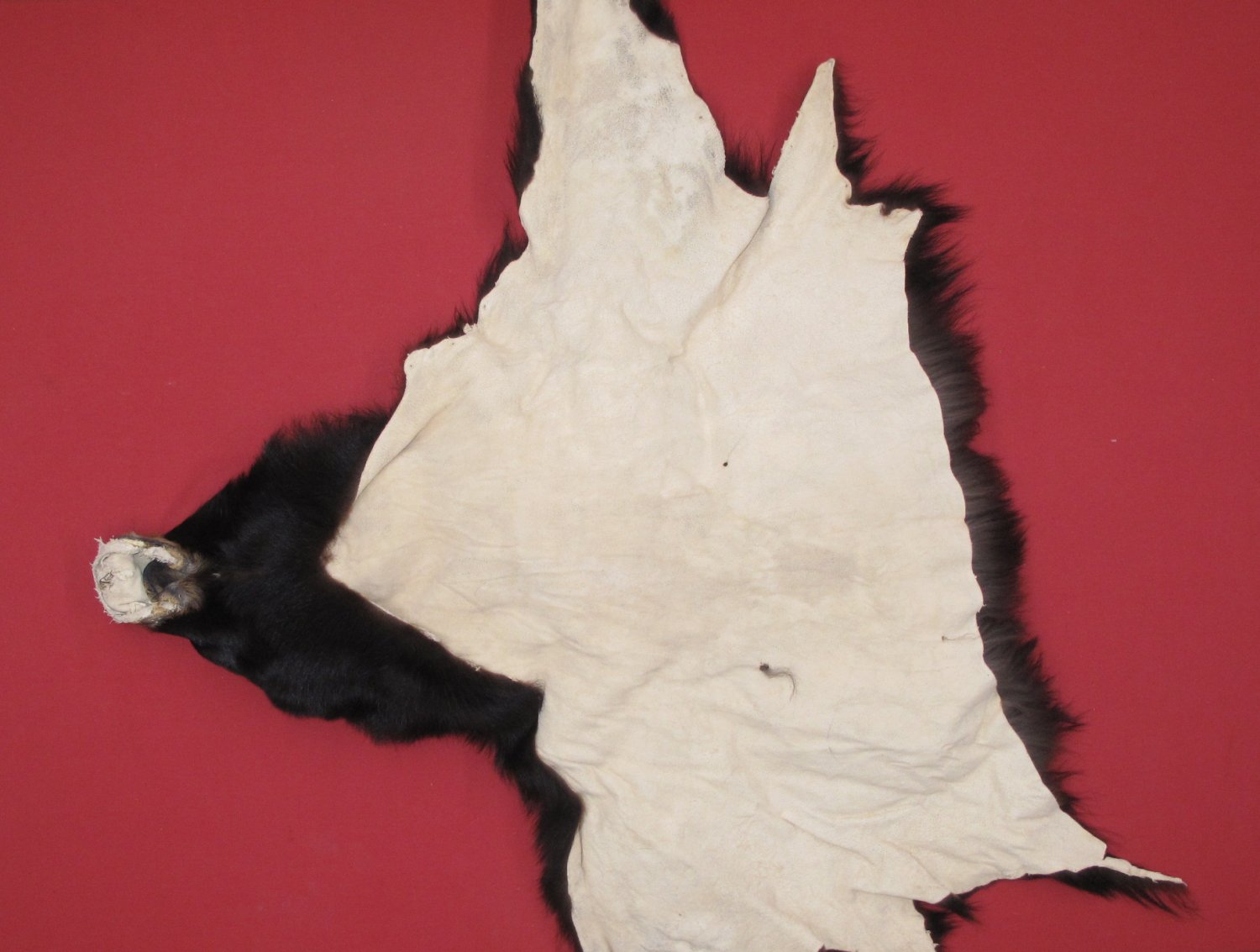 Tanned Furs : BLACK BEAR - CAPES (6109-0357) : hideandfur.com