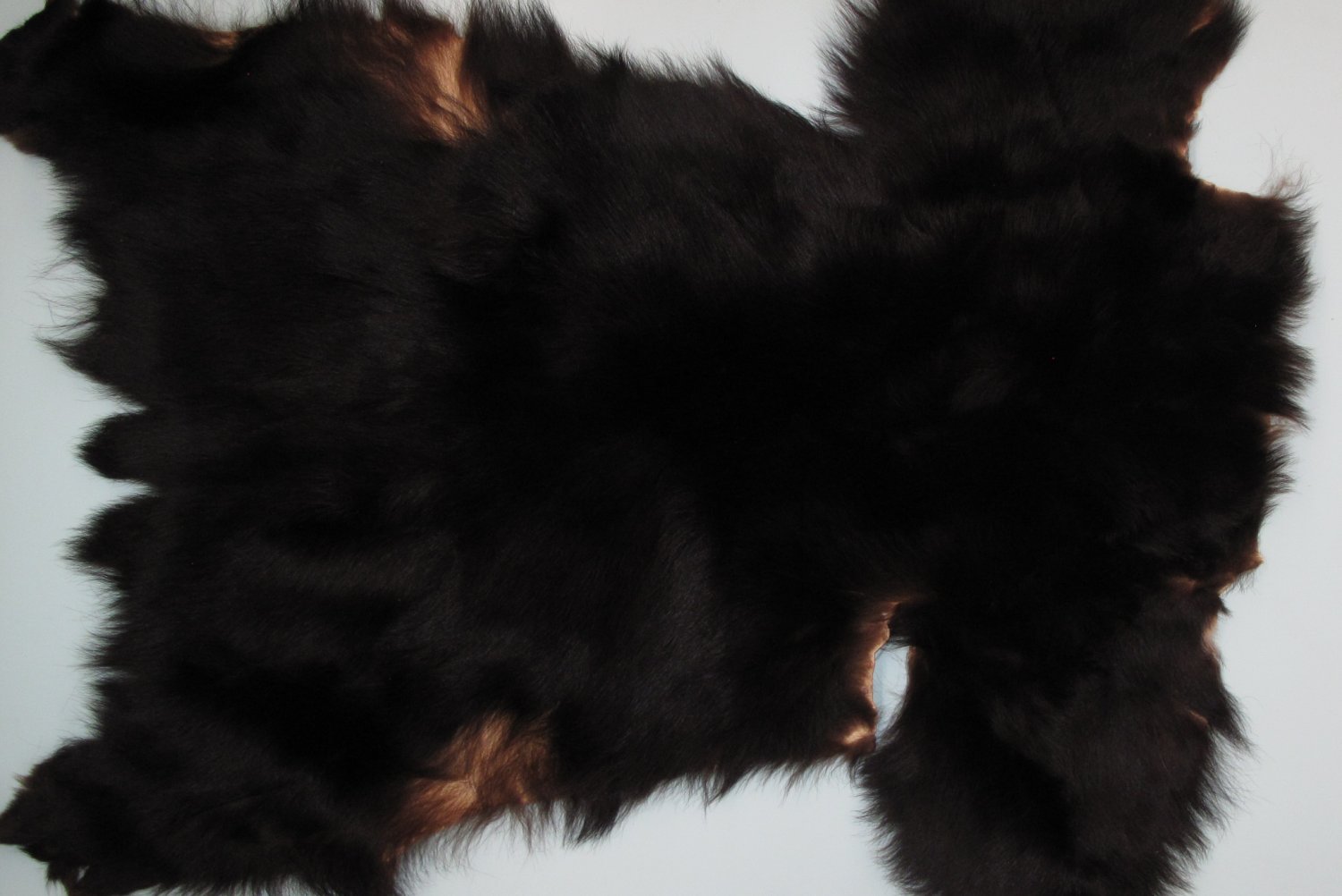 Tanned Furs : BLACK BEAR - PIECES (6111-0908) : hideandfur.com
