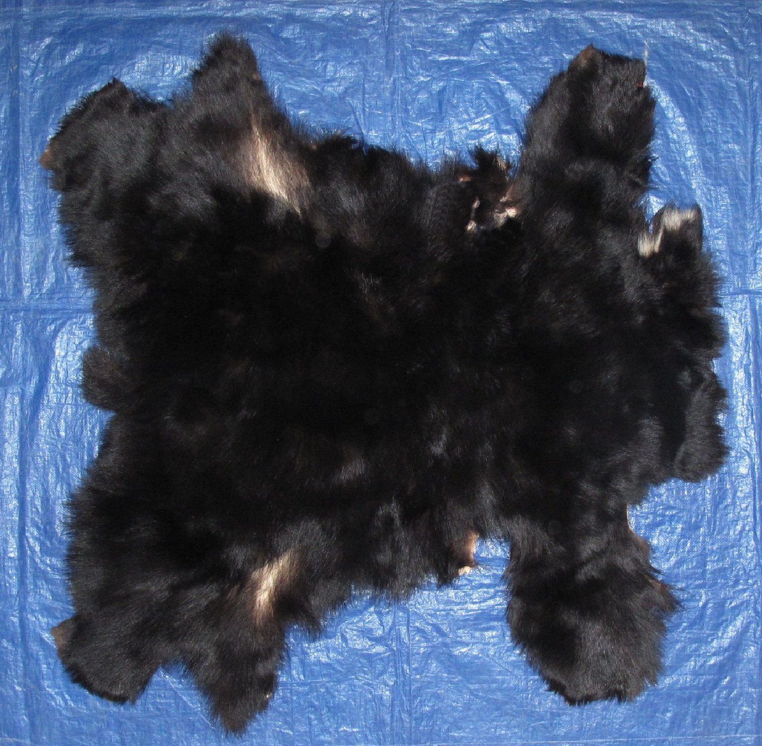 Tanned Furs : BLACK BEAR - PIECES (6111-0929) : hideandfur.com