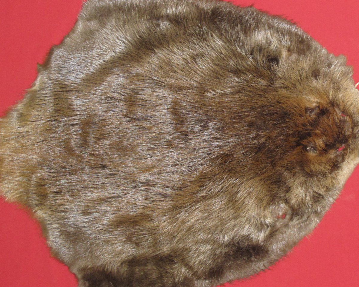 Tanned Furs : BEAVER - LEGHOLES SPLIT (6160-0144) : hideandfur.com