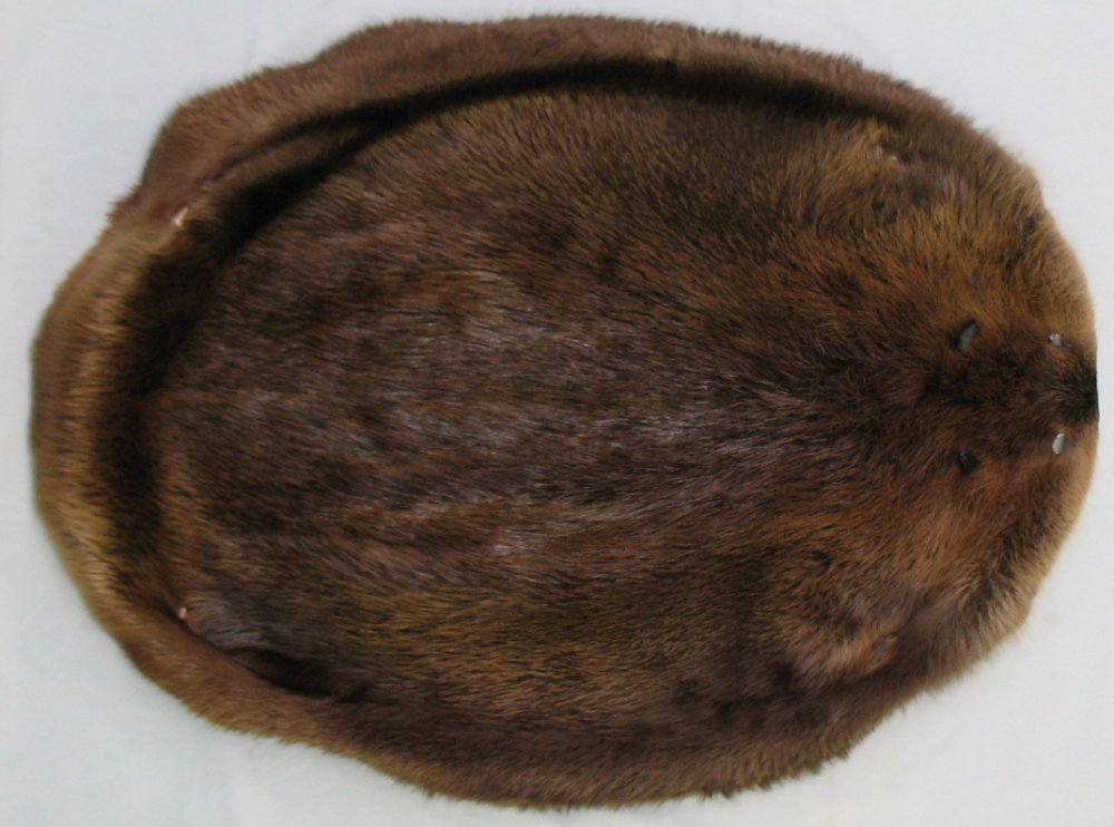 Tanned Furs : BEAVER - ROUND (6162-1938) : hideandfur.com