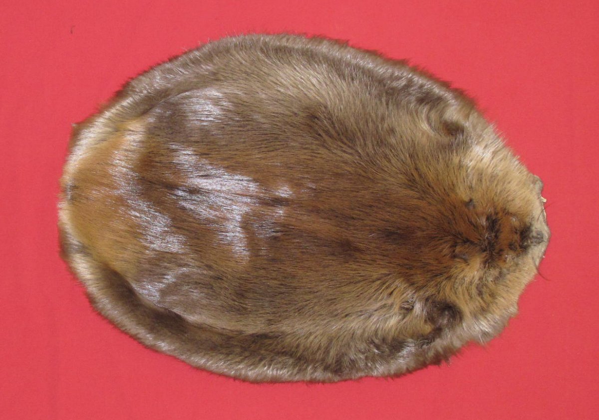Tanned Furs : BEAVER - ROUND (6162-1977) : hideandfur.com