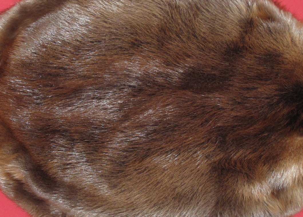 Tanned Furs : BEAVER - ROUND (6162-2332) : hideandfur.com