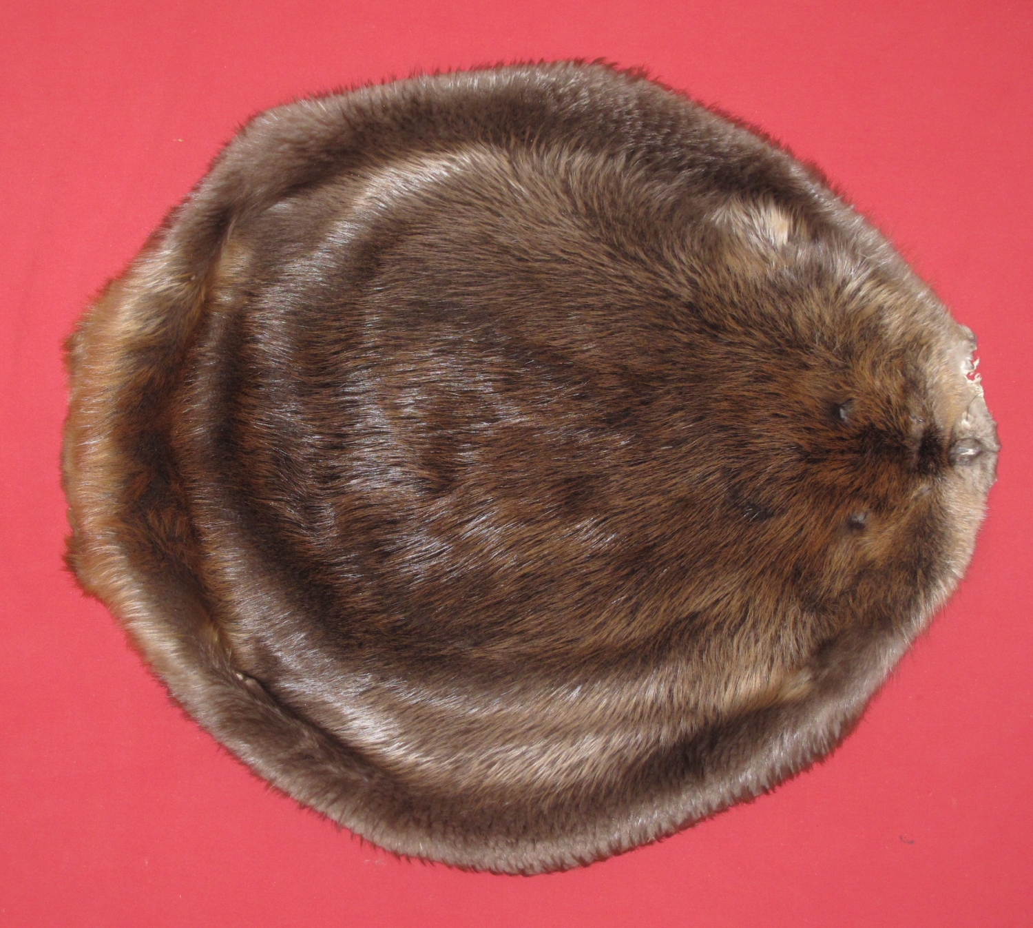 Tanned Furs : BEAVER - ROUND (6162-2650) : hideandfur.com