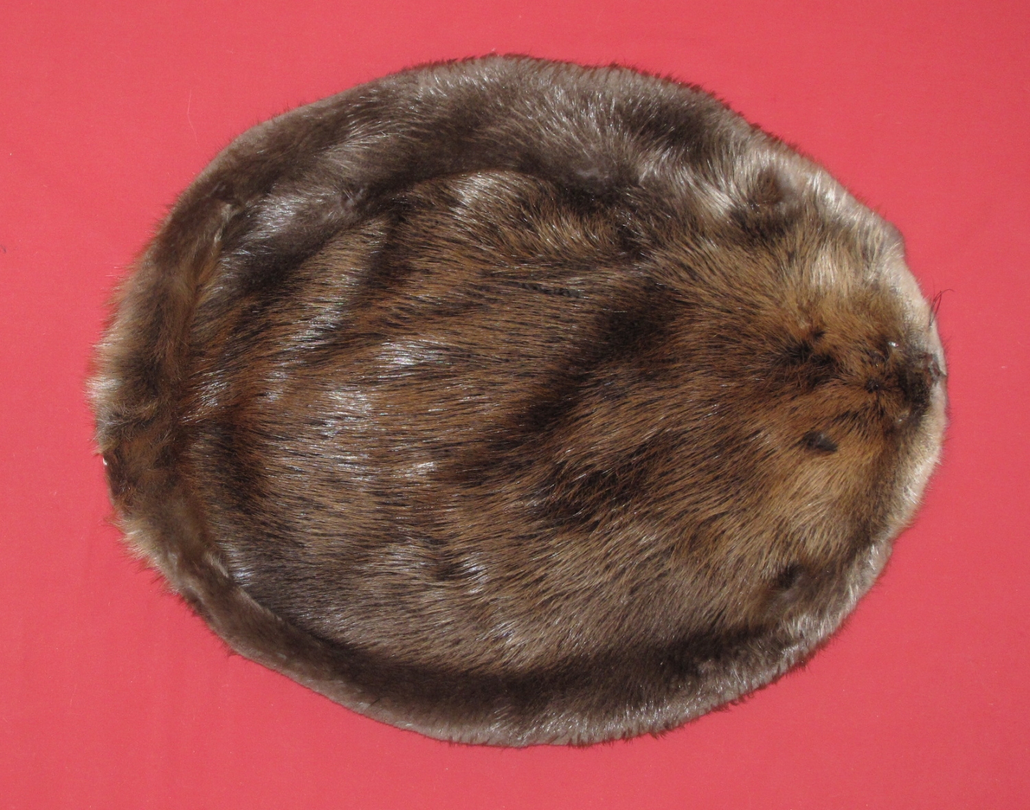 Tanned Furs : BEAVER - ROUND (6162-2654) : hideandfur.com
