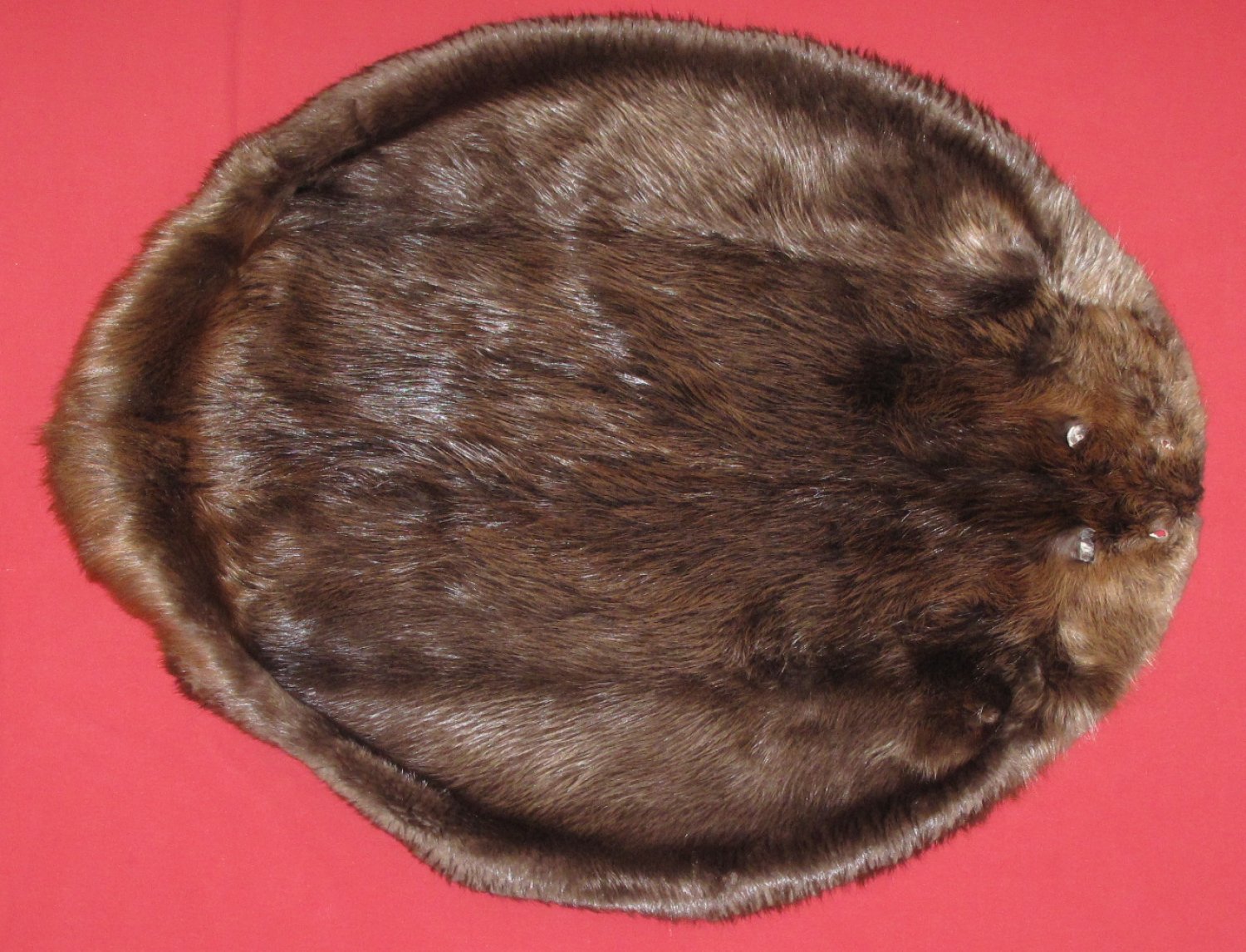 Tanned Furs : BEAVER - ROUND (6162-2803) : hideandfur.com