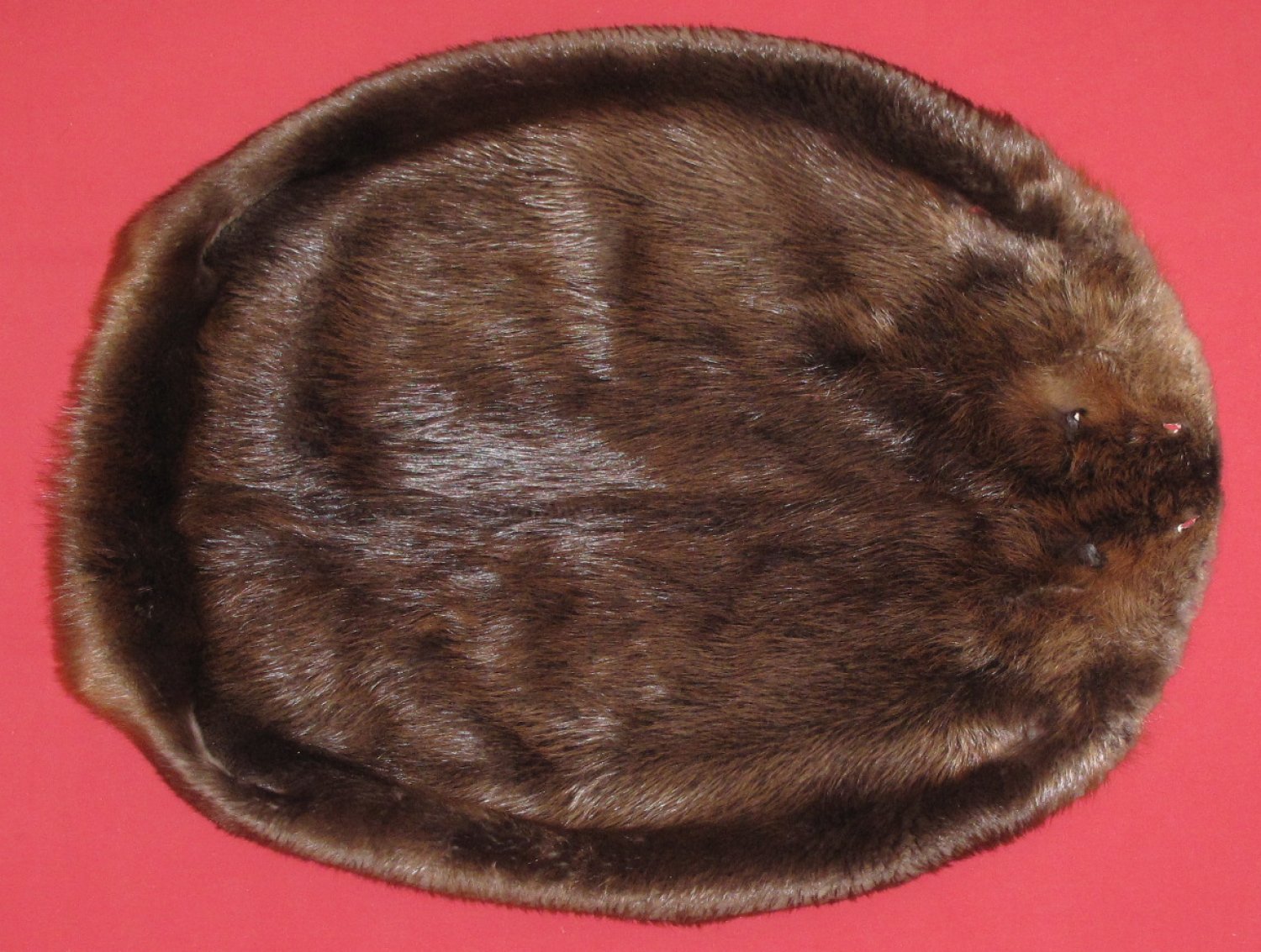 Tanned Furs : BEAVER - ROUND (6162-2804) : hideandfur.com