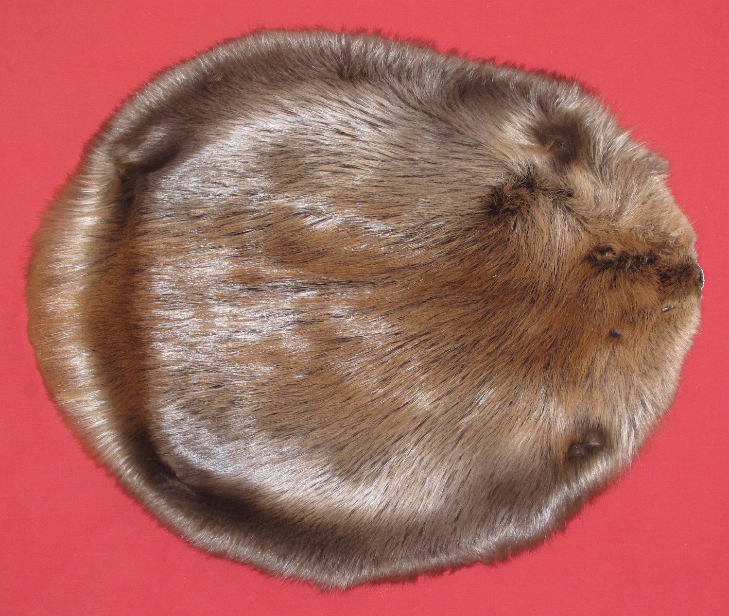 Tanned Furs : BEAVER - ROUND (6162-2899) : hideandfur.com