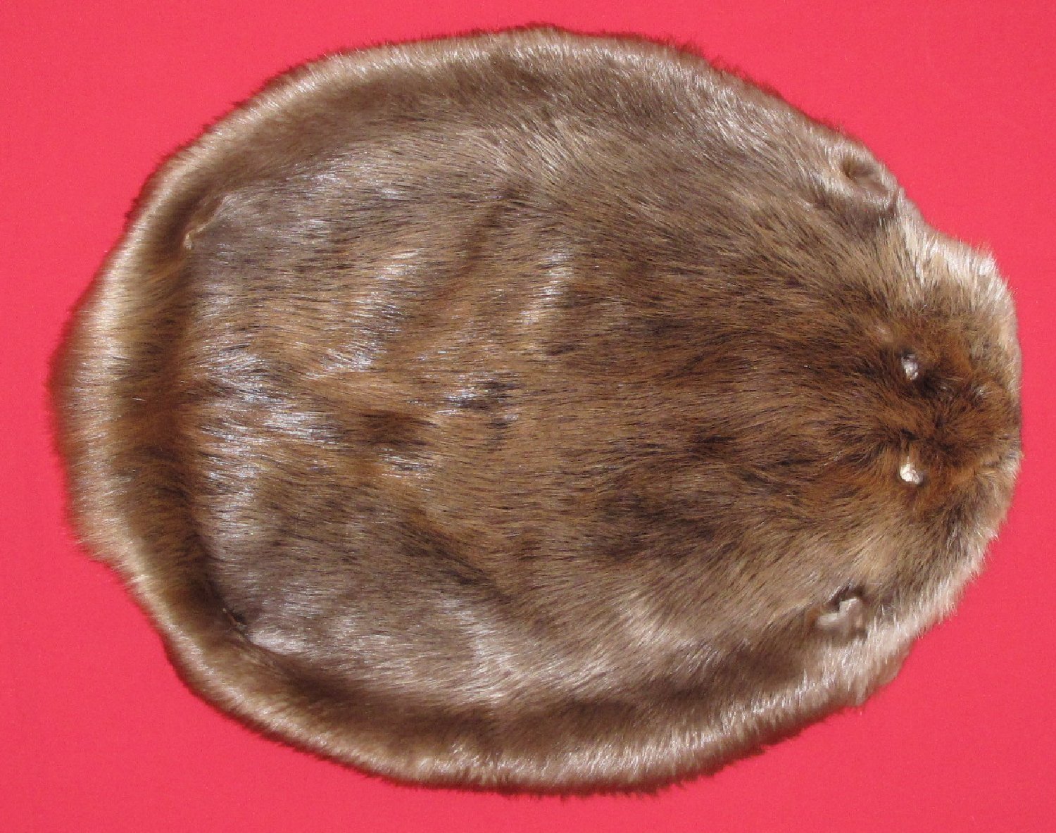 Tanned Furs : BEAVER - ROUND (6162-2982) : hideandfur.com