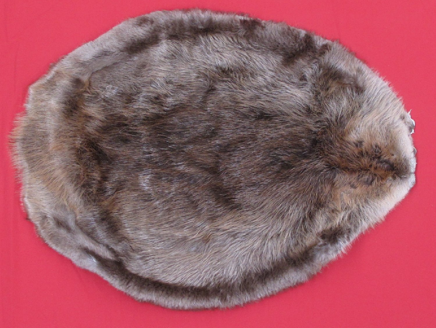 Tanned Furs : BEAVER - ROUND (6162-3033) : hideandfur.com