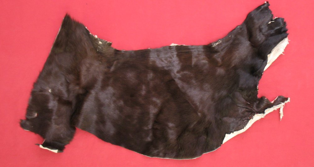 Tanned Furs : BEEF (6180-0057) : hideandfur.com