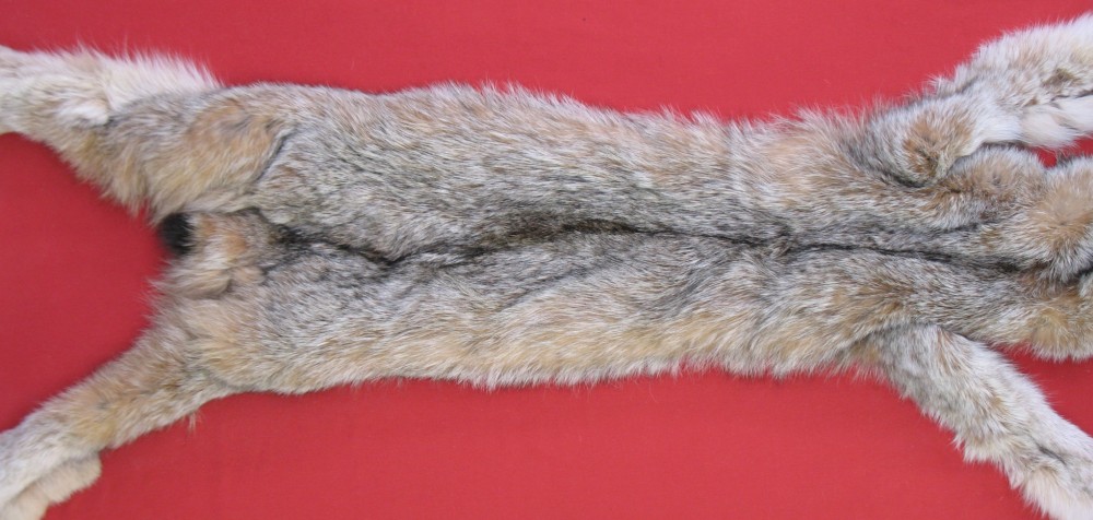 Tanned Furs : CANADIAN LYNX (6210-0276) : hideandfur.com