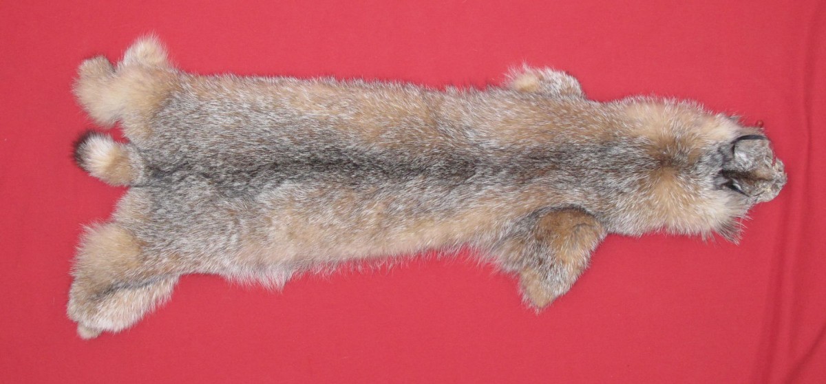 Tanned Furs : CANADIAN LYNX (6210-0279) : hideandfur.com